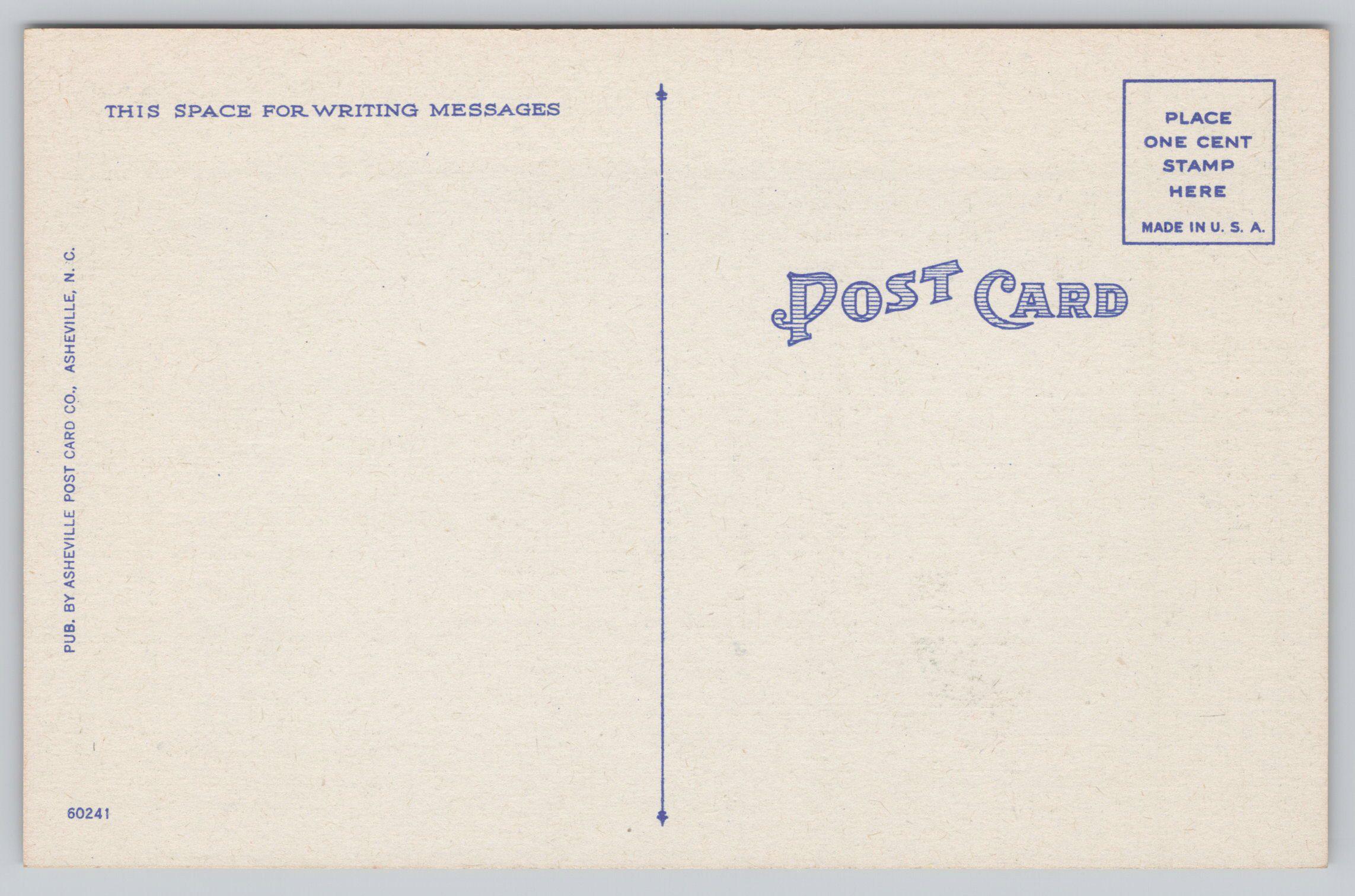 Vintage Postcard, Tree & Flower Lined Country Road, Unidentified ...
