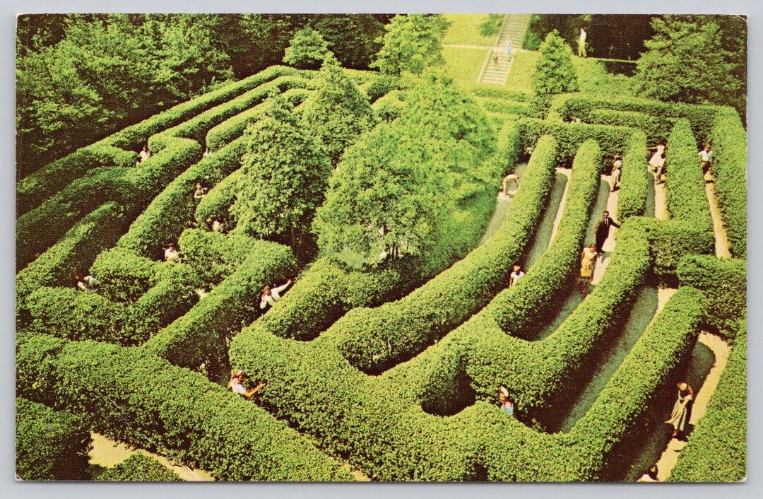 Vintage Postcard, the Governor's Palace Maze, Colonial Williamsburg ...