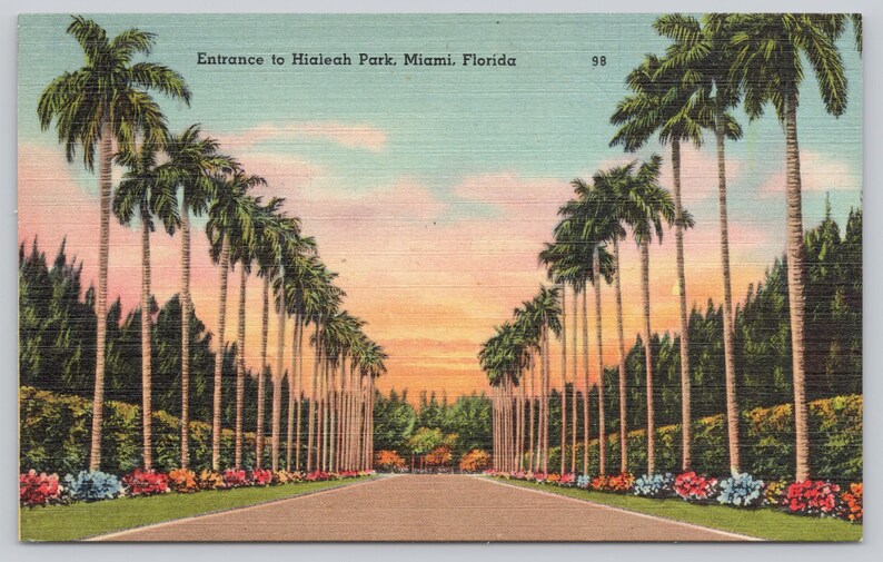 Vintage Postcard, Entrance to Hialeah Park, Miami Florida, Hialeah Race ...