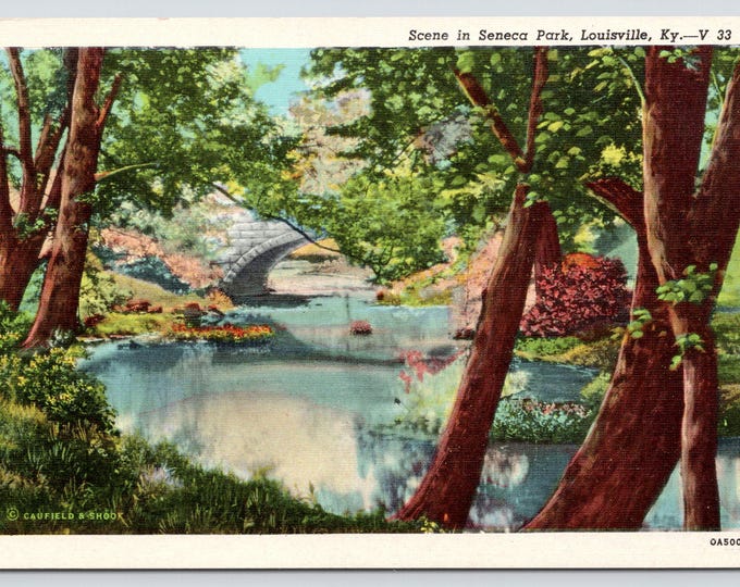 Vintage Postcard, Scene in Seneca Park, Louisville Kentucky, C1940s ...