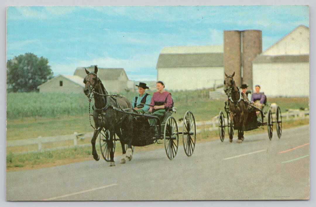 Vintage Postcard, Greetings From the Amish Country, Amish Couples in ...