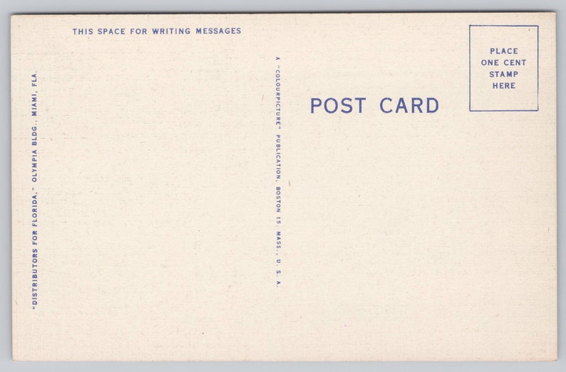 Vintage Postcard, Scene of Bayfront Park, View Through Trees, Miami ...