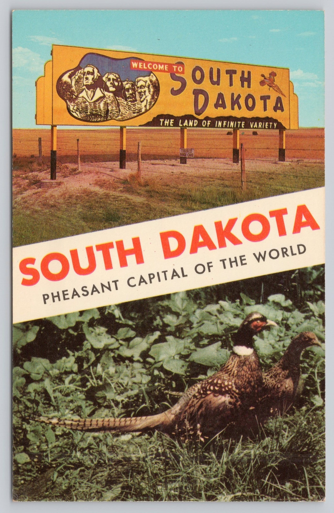 Vintage Postcard, Welcome to South Dakota Highway Sign, Mt. Rushmore ...