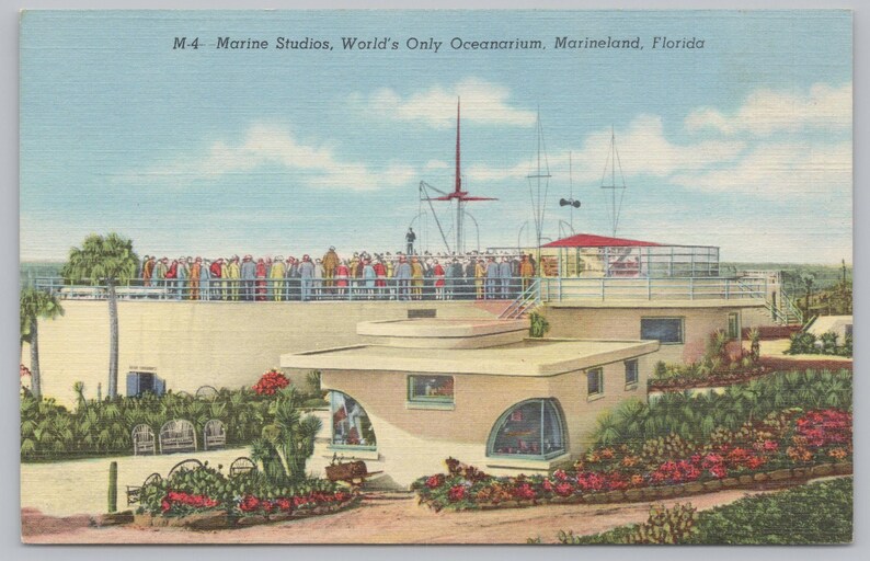 Vintage Postcard, Crowds at Marine Studios, World's Only Oceanarium ...