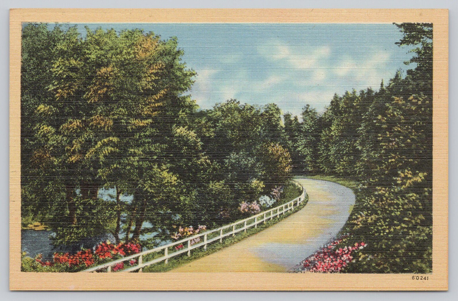 Vintage Postcard, Tree & Flower Lined Country Road, Unidentified ...