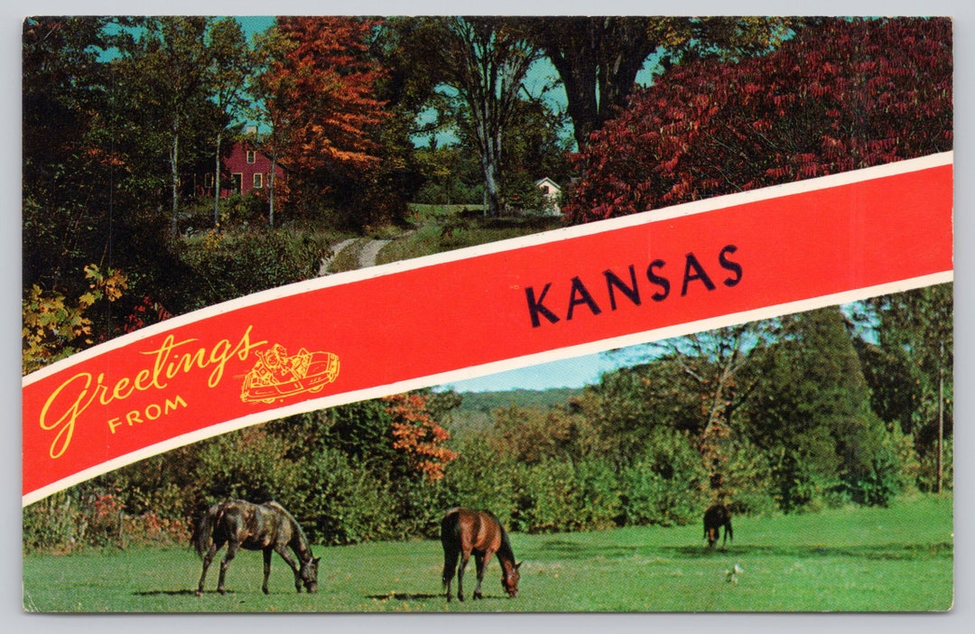 Vintage Postcard, Greetings From Kansas Postcard, Country Farm Scenes ...