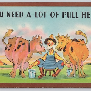 Vintage Comic Postcard, "you Need A Lot of Pull Here", Man Milking Cows ...
