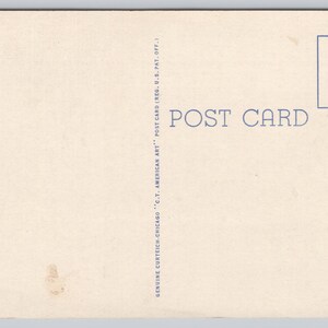 Vintage Postcard, Lone Tree on Court House Tower, Clocktower ...