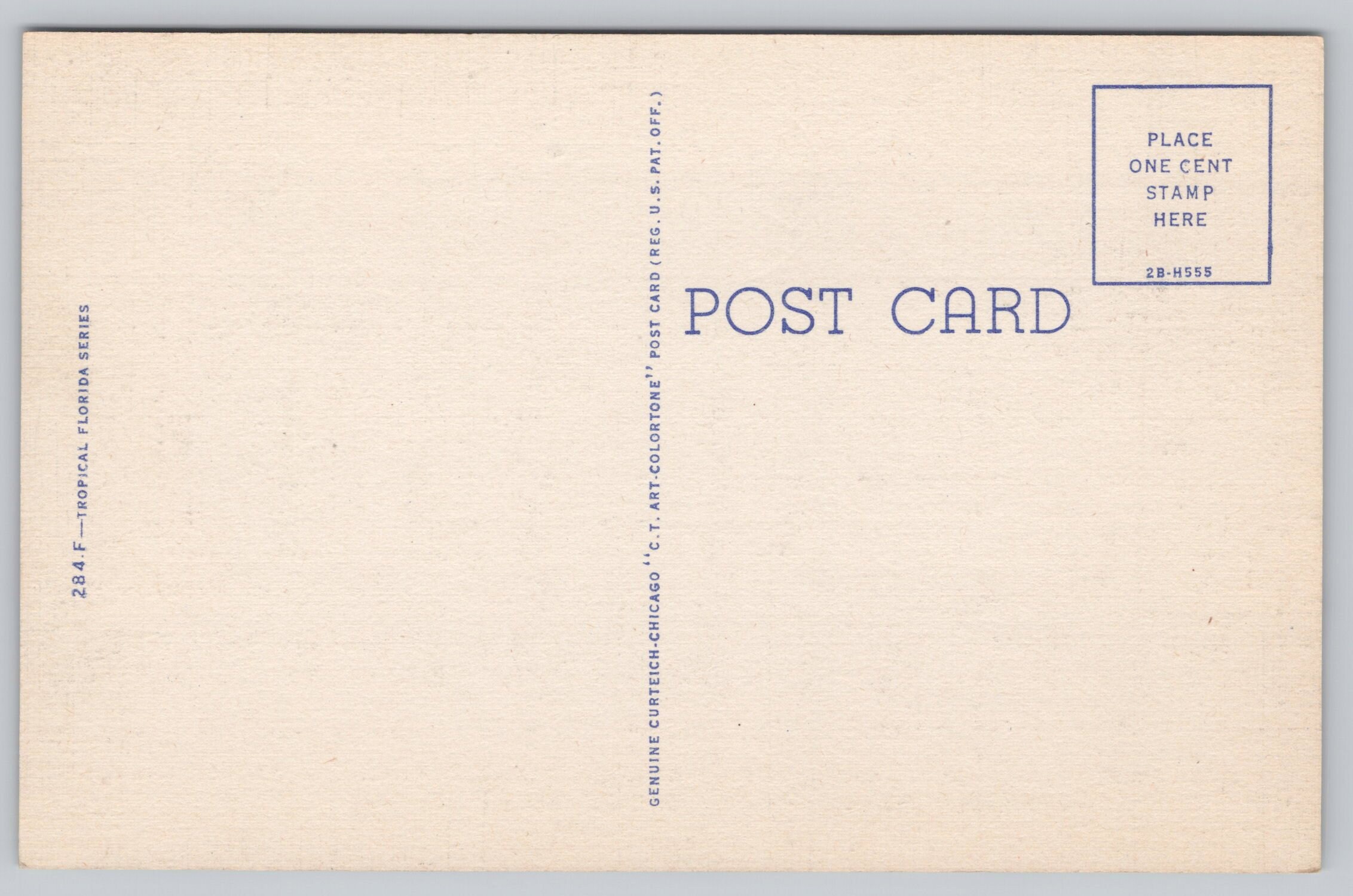 Vintage Postcard, Coconut Palm Trail Along a Florida Bayou, C1940s ...