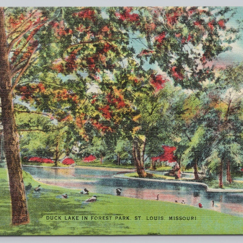 St Louis Parks - Etsy