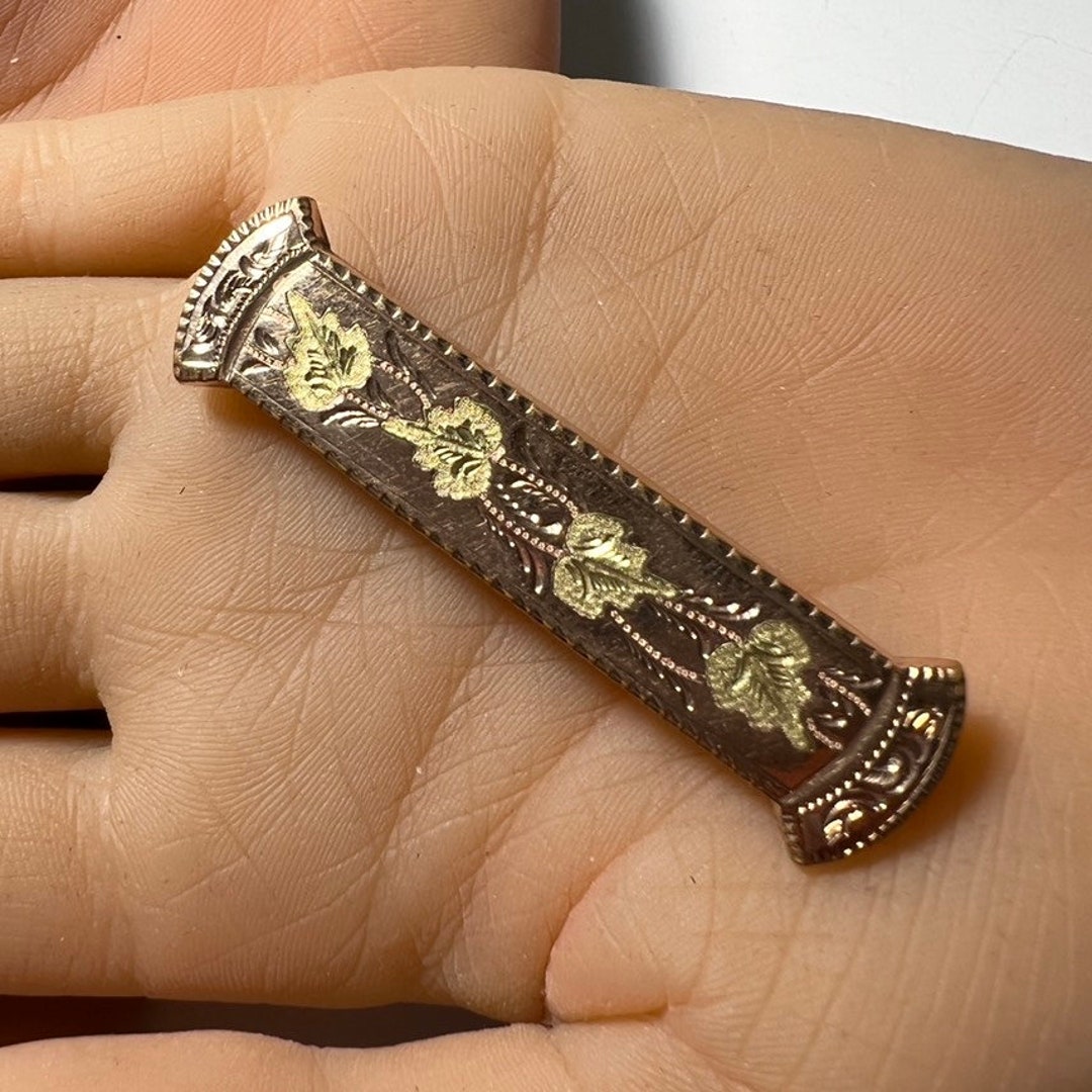 C. 1880 Rare Gold Filled Victorian Era Handmade, Hand-engraved Pin ...