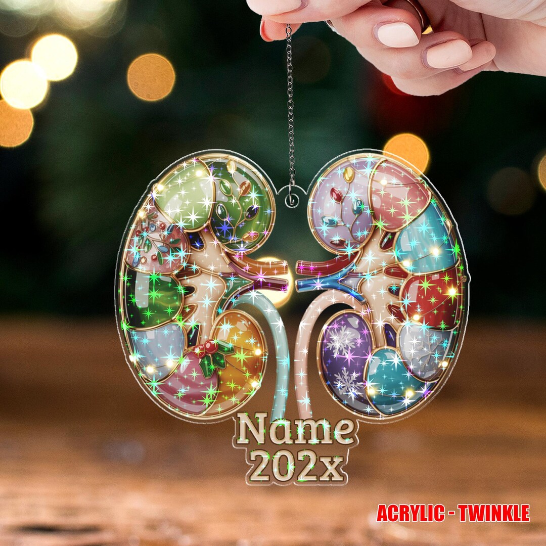 Anatomical Kidneys Ornament, Flat 2D Kidneys Ornament, Gift for ...