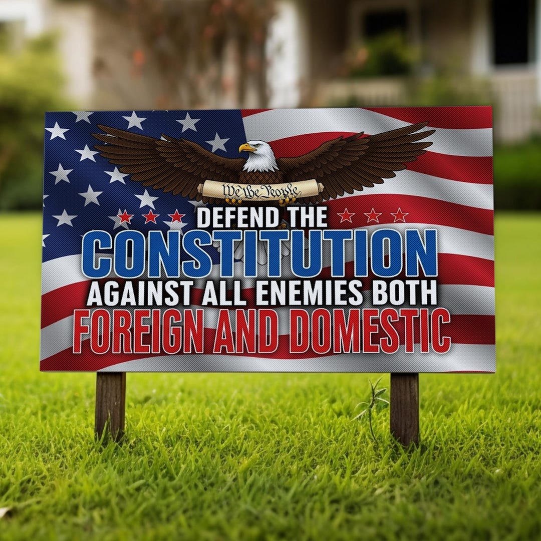 Defend the Constitution, No Kings in America Protest Sign, Anti-fdt ...