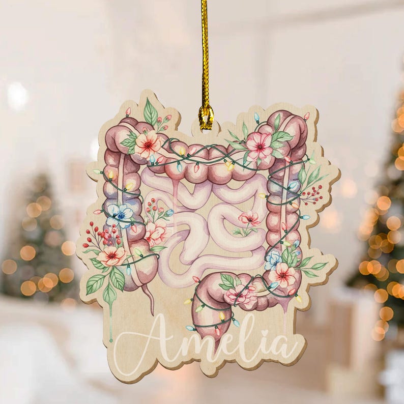 Intestine Anatomy Christmas Ornament Set, Anatomical Heart, Mental ...