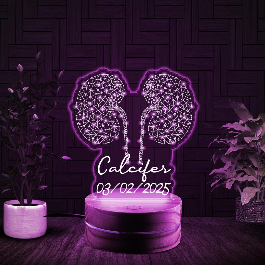 Custom Name 2D Illusion LED Lamp, Anatomy Kidney Nightlight, Kidney LED ...