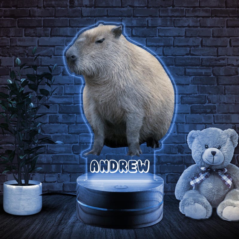 Capybara Night Lights - Etsy