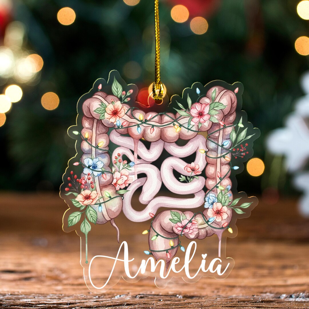 Intestine Anatomy Christmas Ornament Set, Anatomical Heart, Mental ...