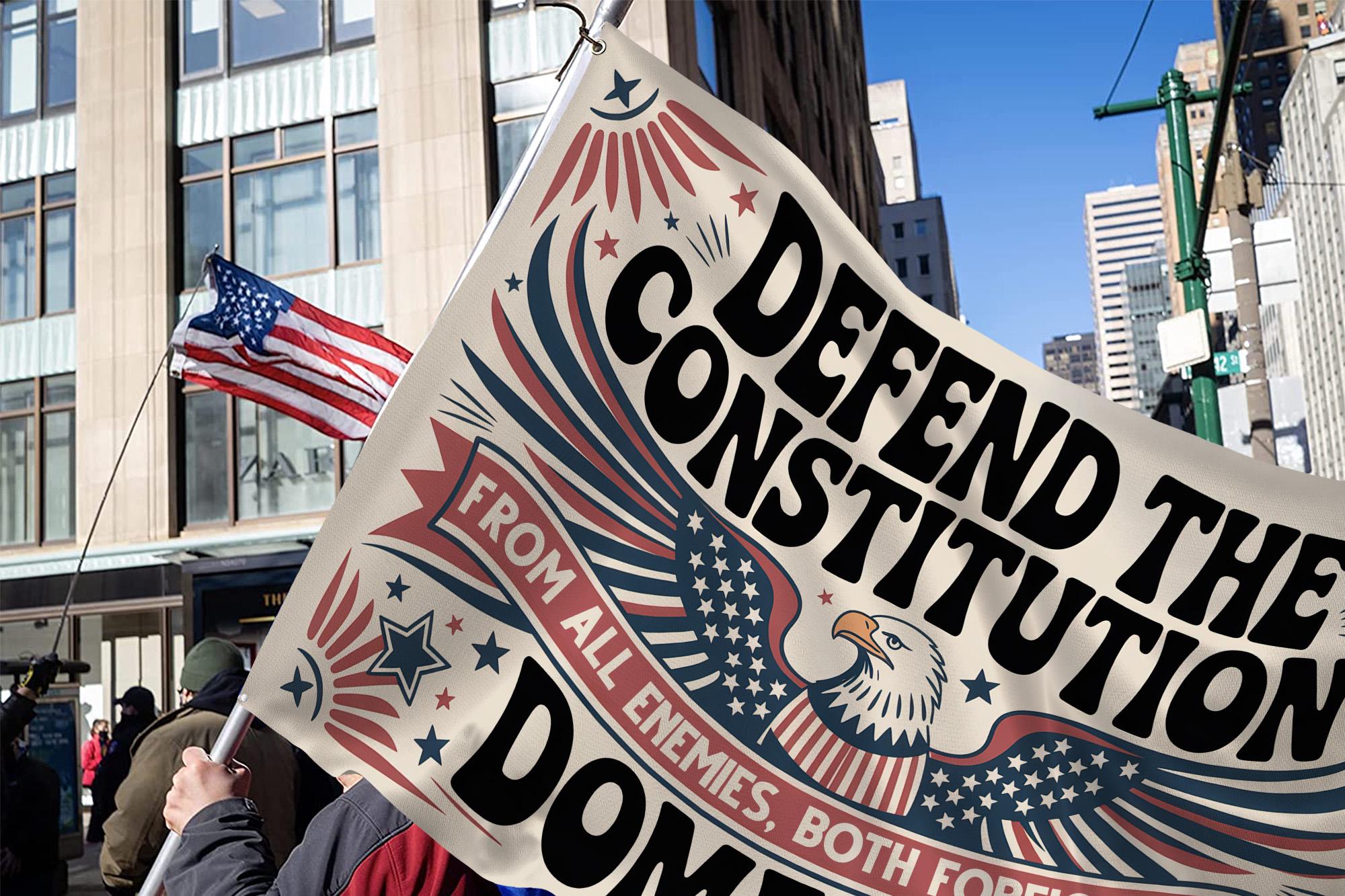 Defend the Constitution House Flag, Protest Flag, Anti-dt Resistance ...