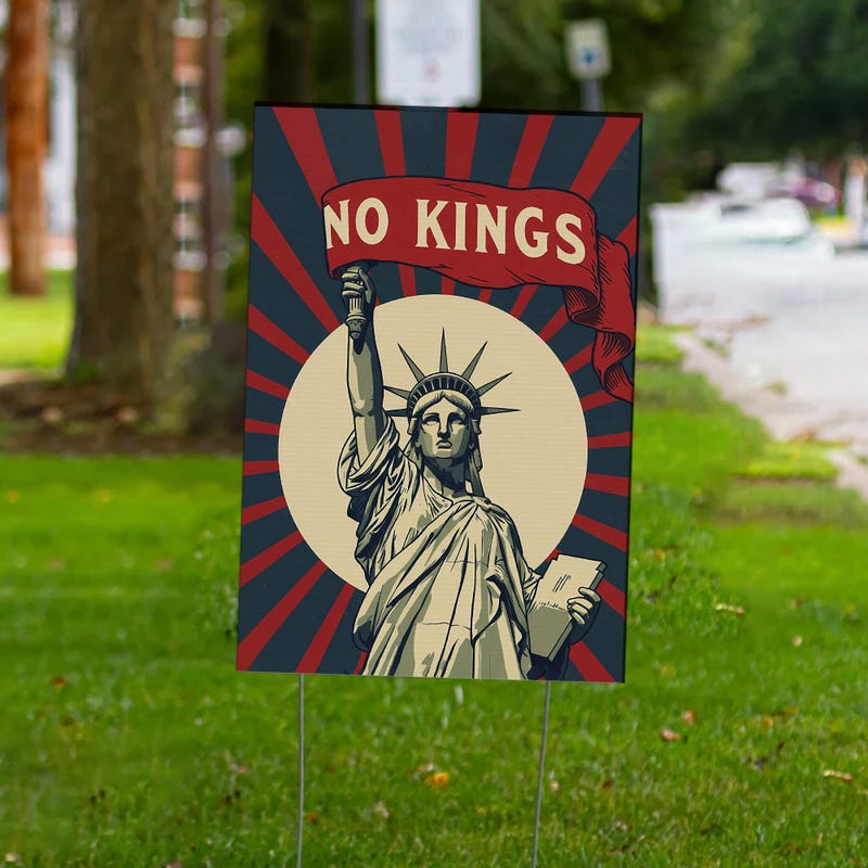 Pro Democracy Yard Signs - Etsy