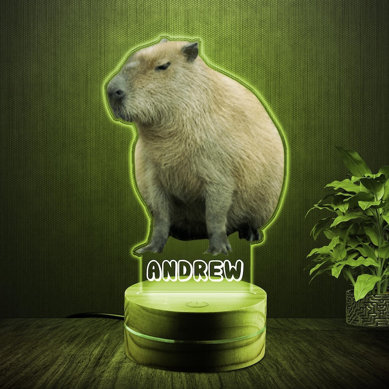 Capybara Night Lights - Etsy