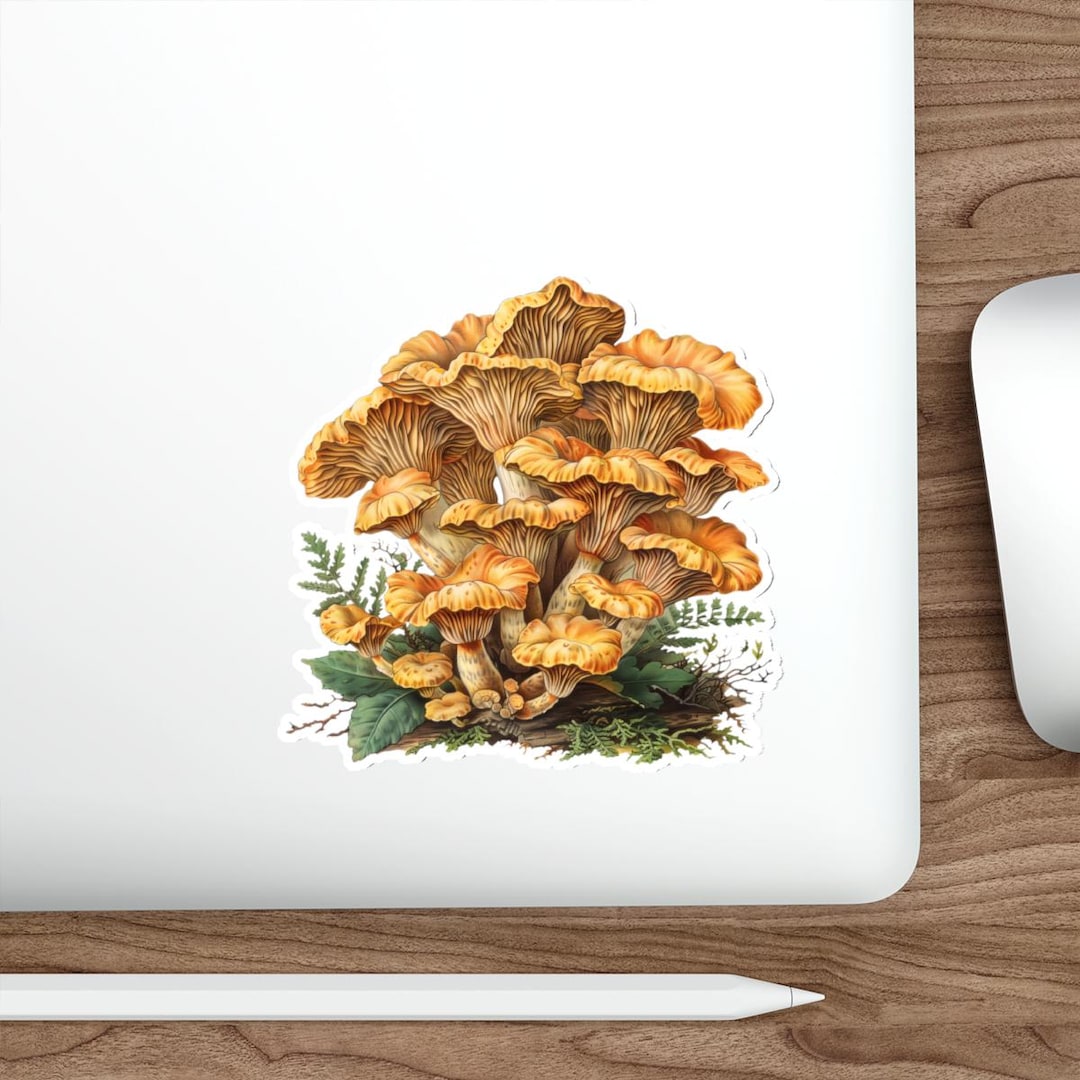 Cottagecore Mushroom Die-cut Stickers, Vinyl Sticker , Mushroom Decals ...