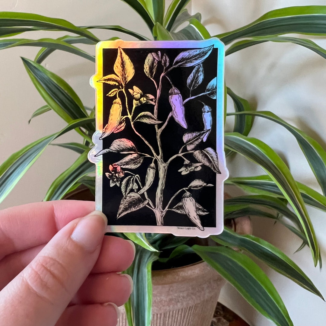 Chile Plant Sticker - Etsy