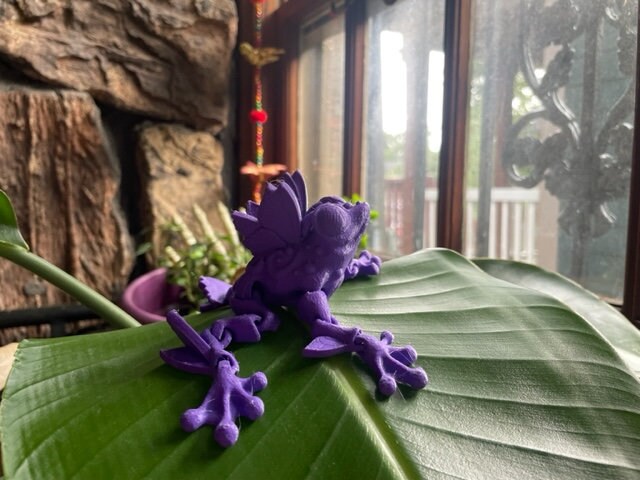 Butterfly Frog Frog Fidget Toy 3d Printed Frog Toy - Etsy