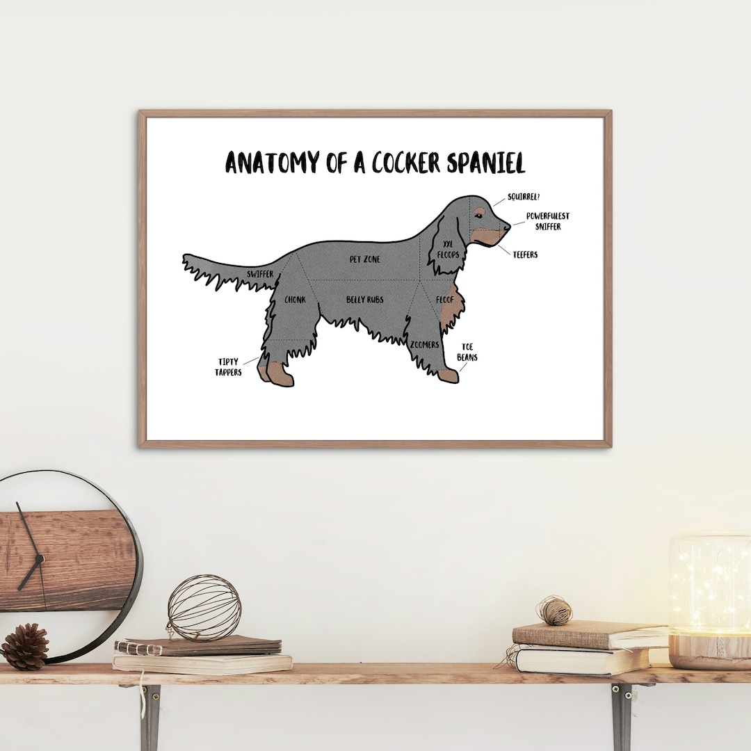 Anatomy of a Cocker Spaniel Poster | A5 & A4 Dog Print | Customisable ...
