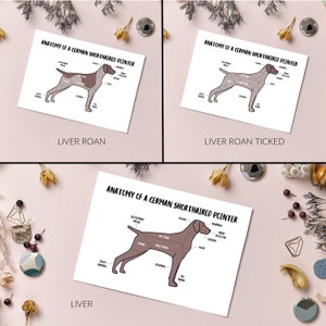 German Shorthaired Pointer Anatomy Art Print: Dog Lover Gift - Etsy