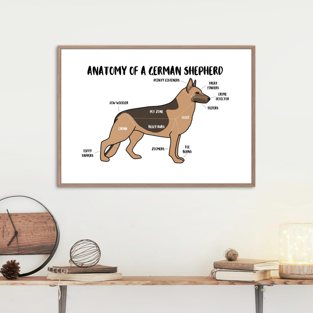 German Shepherd Anatomy Art Print: Humorous Dog Illustration - Etsy