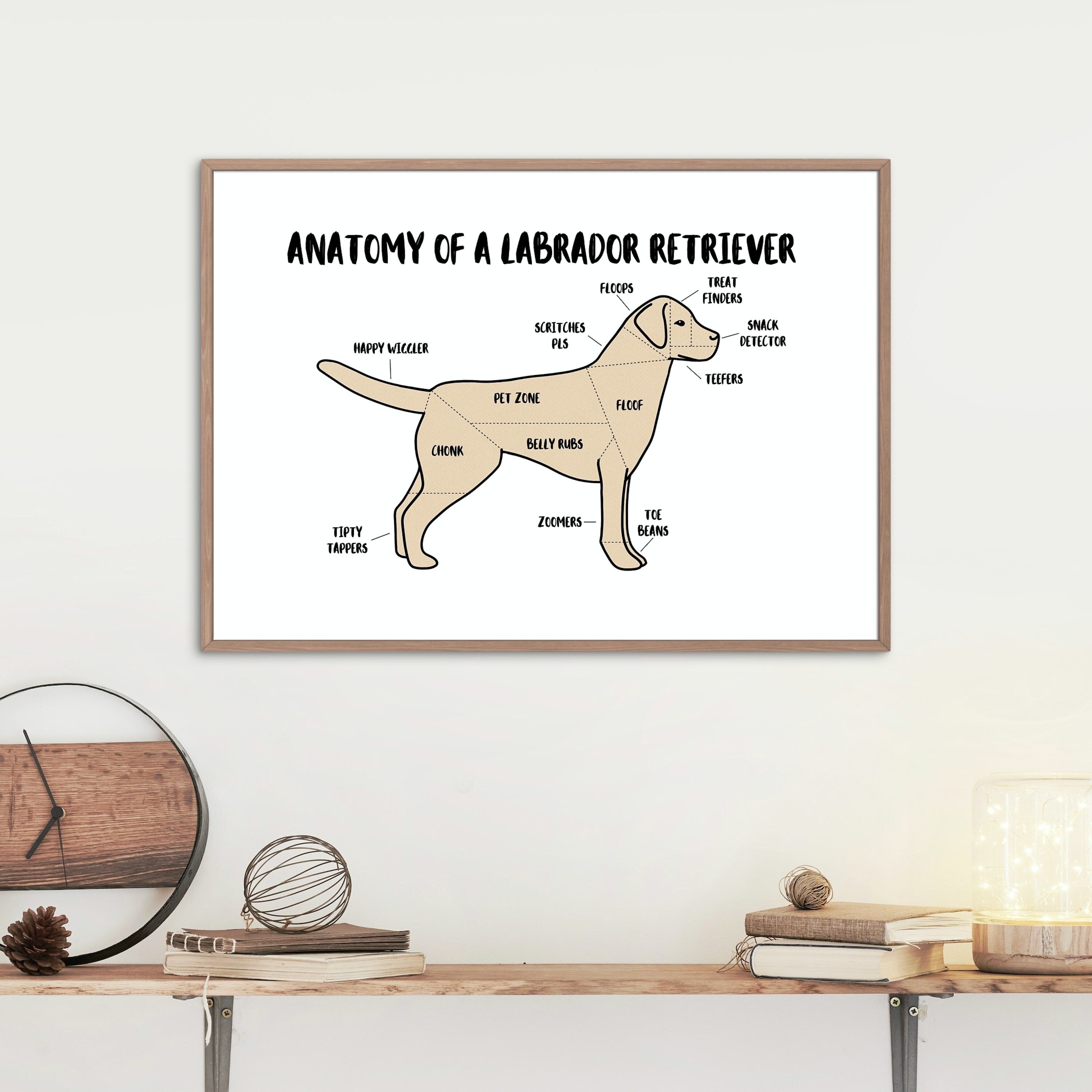 Anatomy of a Labrador Retriever Poster A5 & A4 Dog Print - Etsy