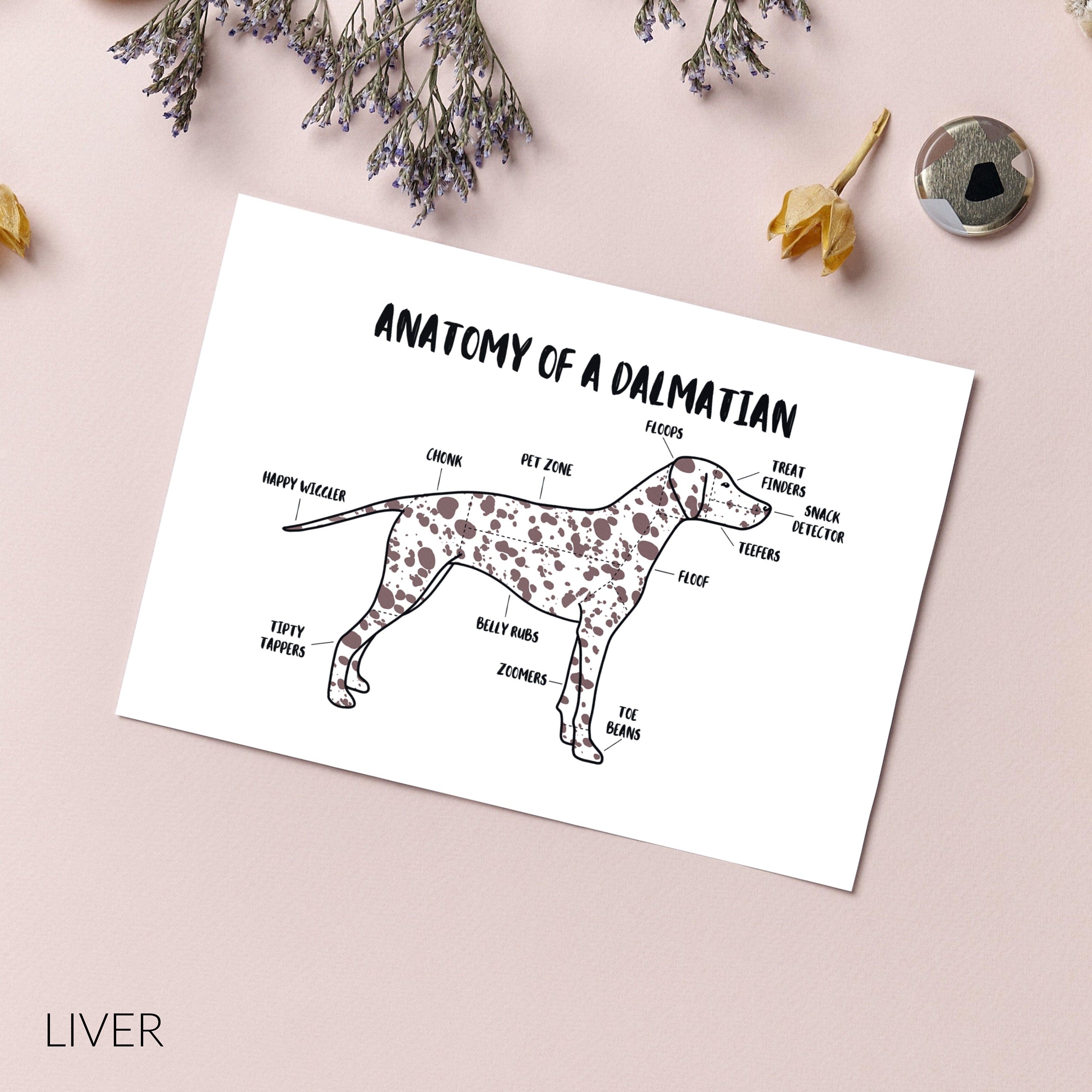 Anatomy of a Dalmatian Poster A5 & A4 Dog Print Custom Dog - Etsy UK