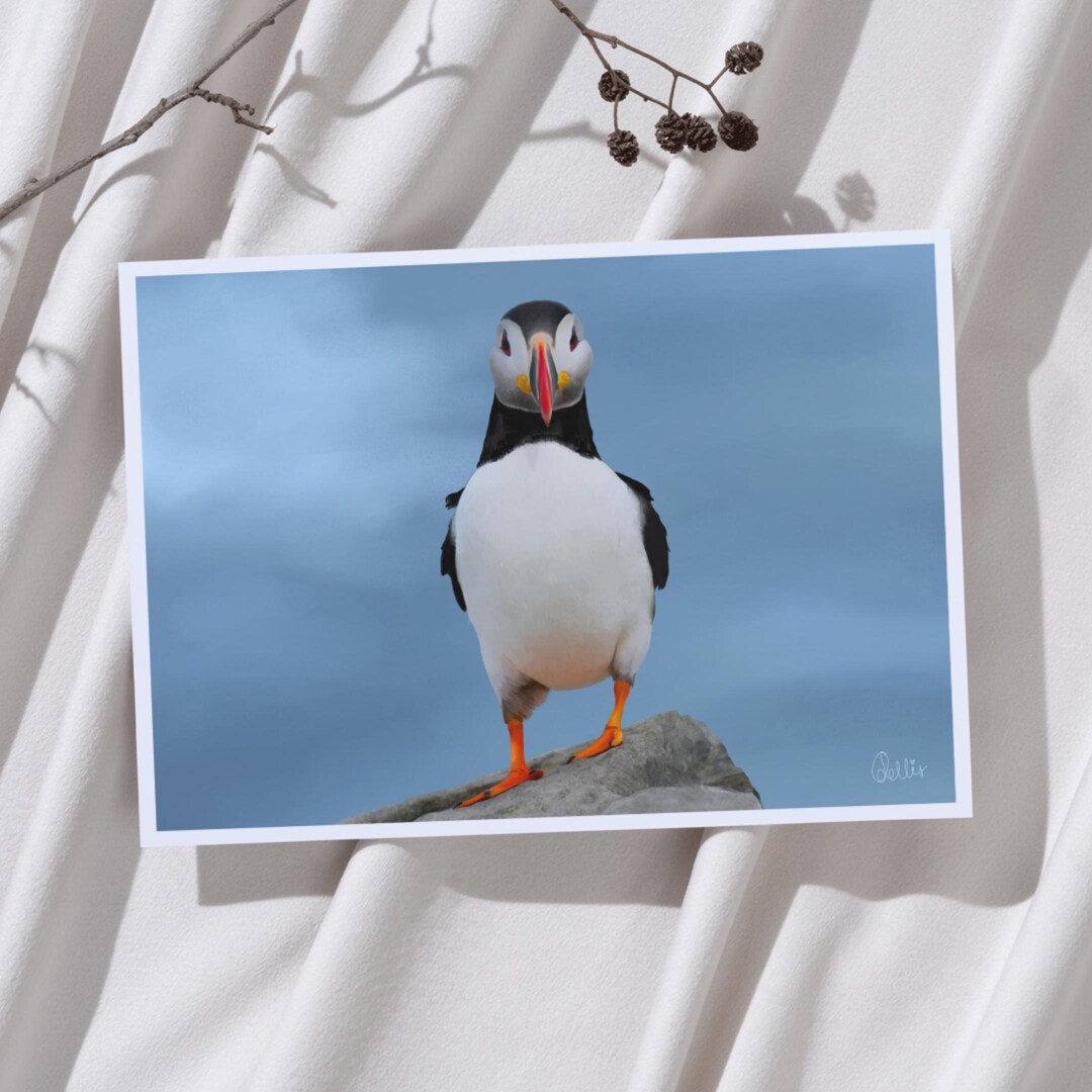 Puffin Artwork | Hand Drawn Puffin Print, Greeting Card, Postcard ...