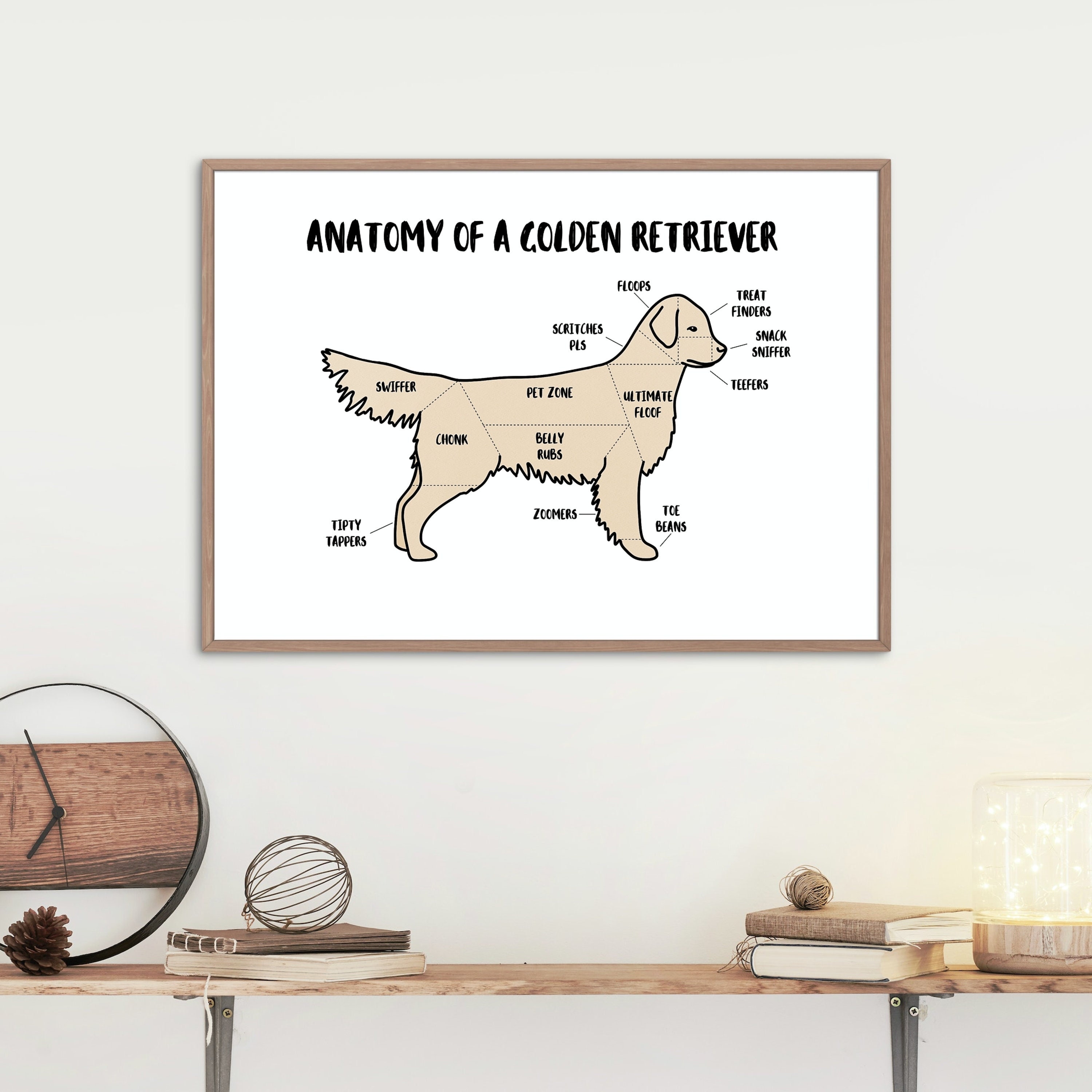 Anatomy of a Golden Retriever Poster A5 & A4 Dog Print - Etsy