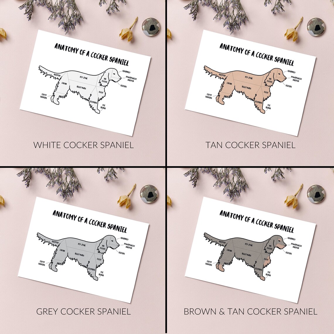 Cocker Spaniel Anatomy Poster: Humorous Dog Art Print (A5 & A4) - Etsy