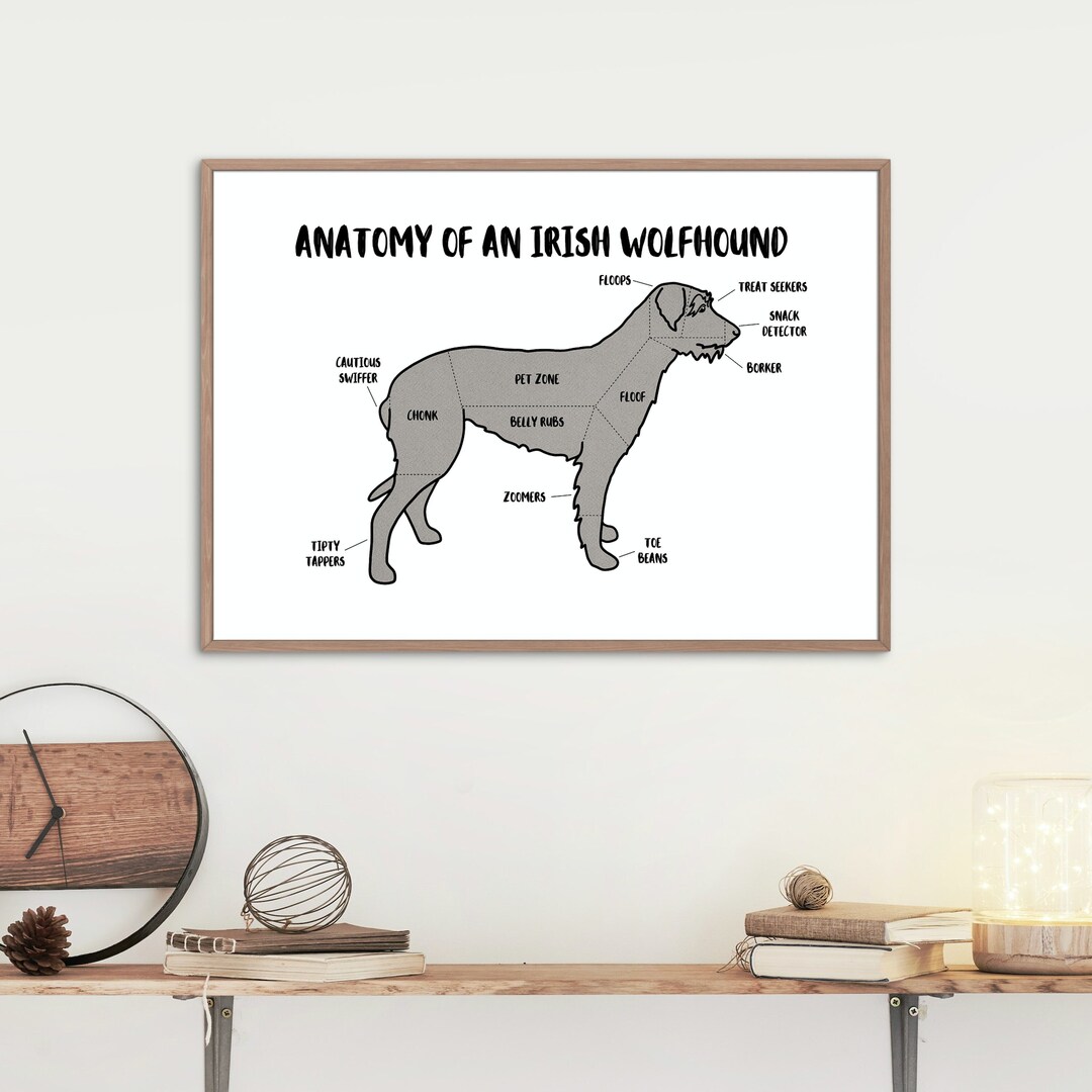 Anatomy of an Irish Wolfhound Poster | A5 & A4 Dog Print | Customisable ...