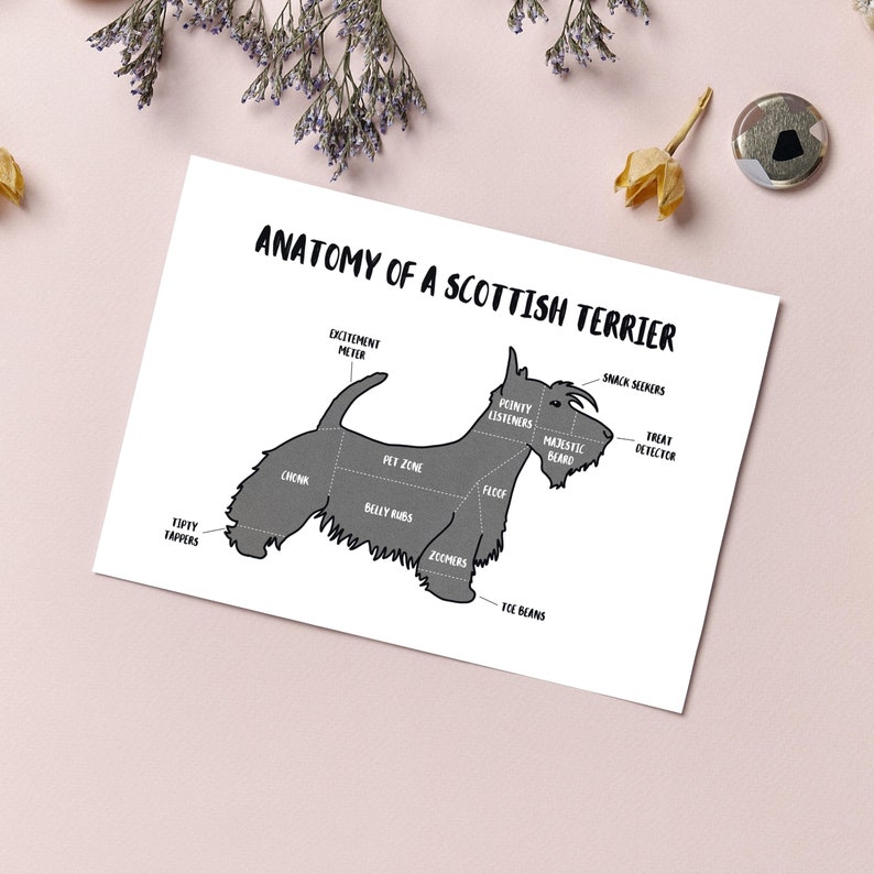 Scottish Terrier Anatomy Art Print: Funny Dog Lover Gift (A5 & A4) - Etsy