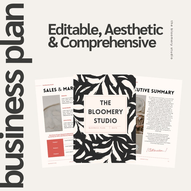 Editable Business Plan Template Aesthetic & Modern Business Plan Design ...