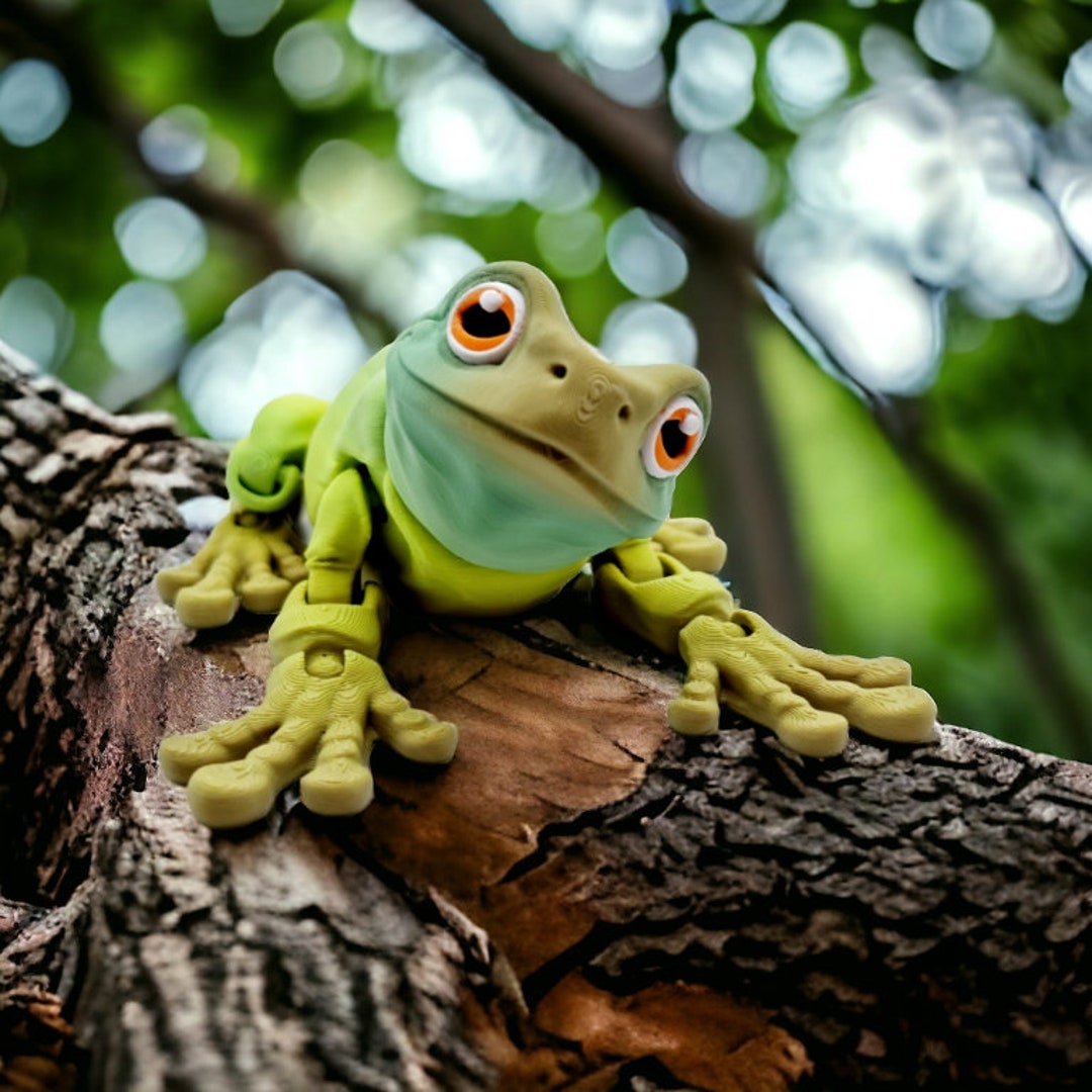 White's Tree Frog Model - Etsy