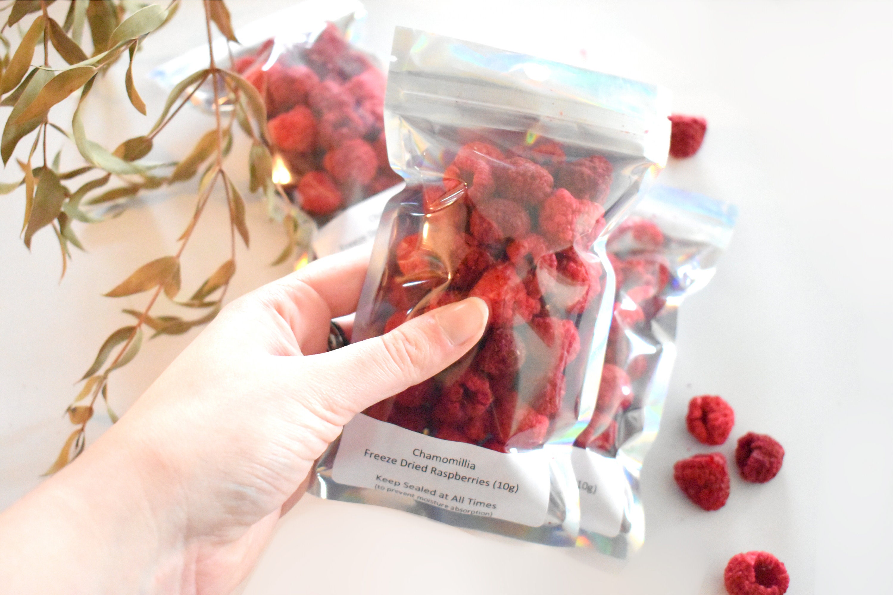 Fresh Freeze Dried Raspberry Snack Pack - Etsy