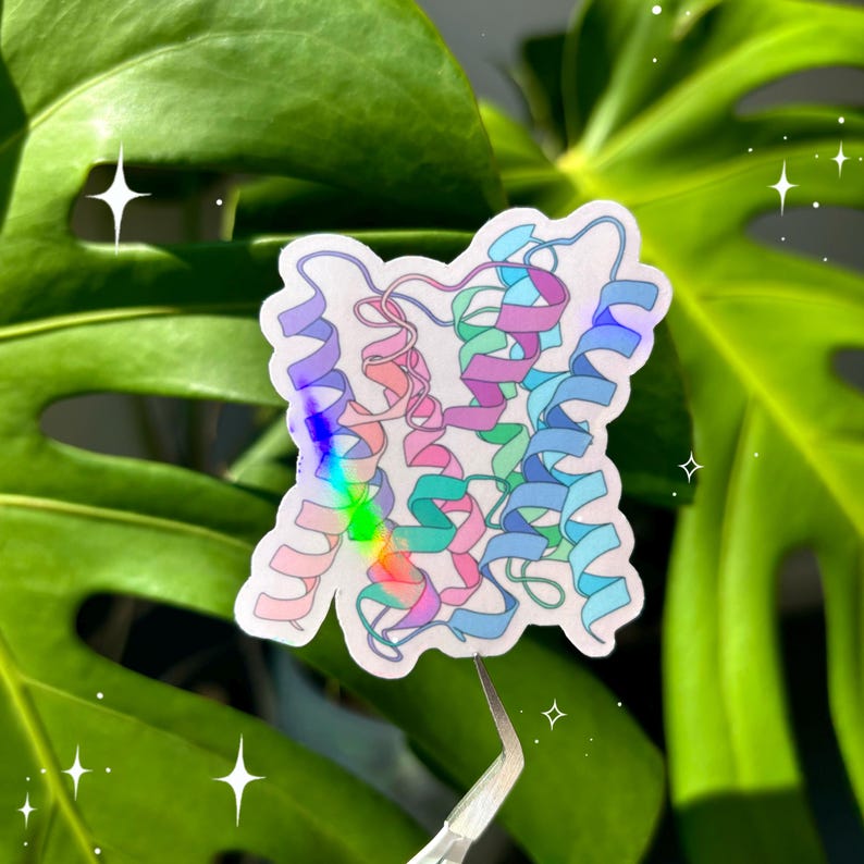 Aquaporin Monomer Protein Structure Single Sticker Biochemistry ...