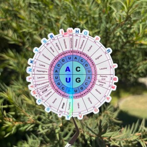 Codon Wheel Sticker | Holographic Science Sticker | Genetic Code Table ...