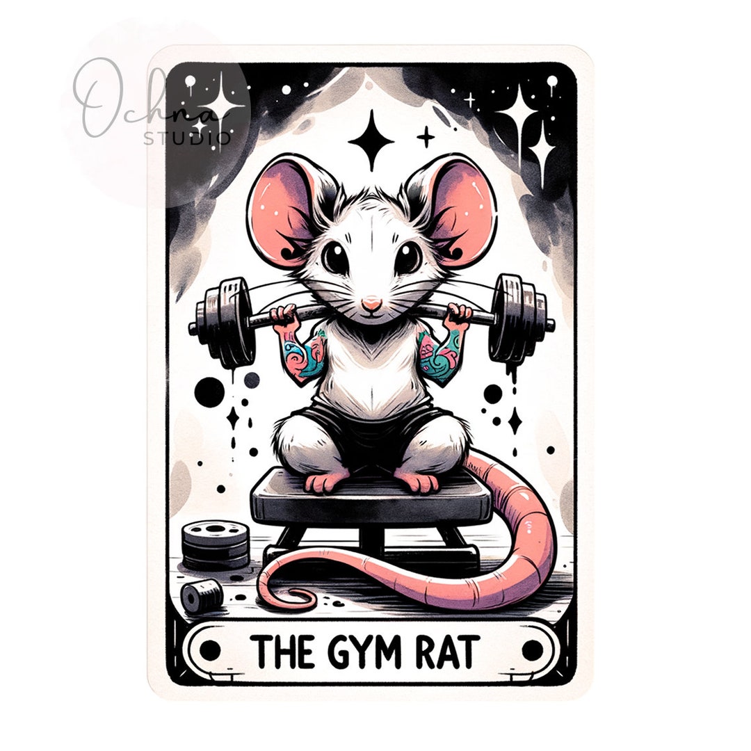 Gym Rat Funny Tarot Card Png, Funny Workout, Rat PNG, Tarot Card PNG ...