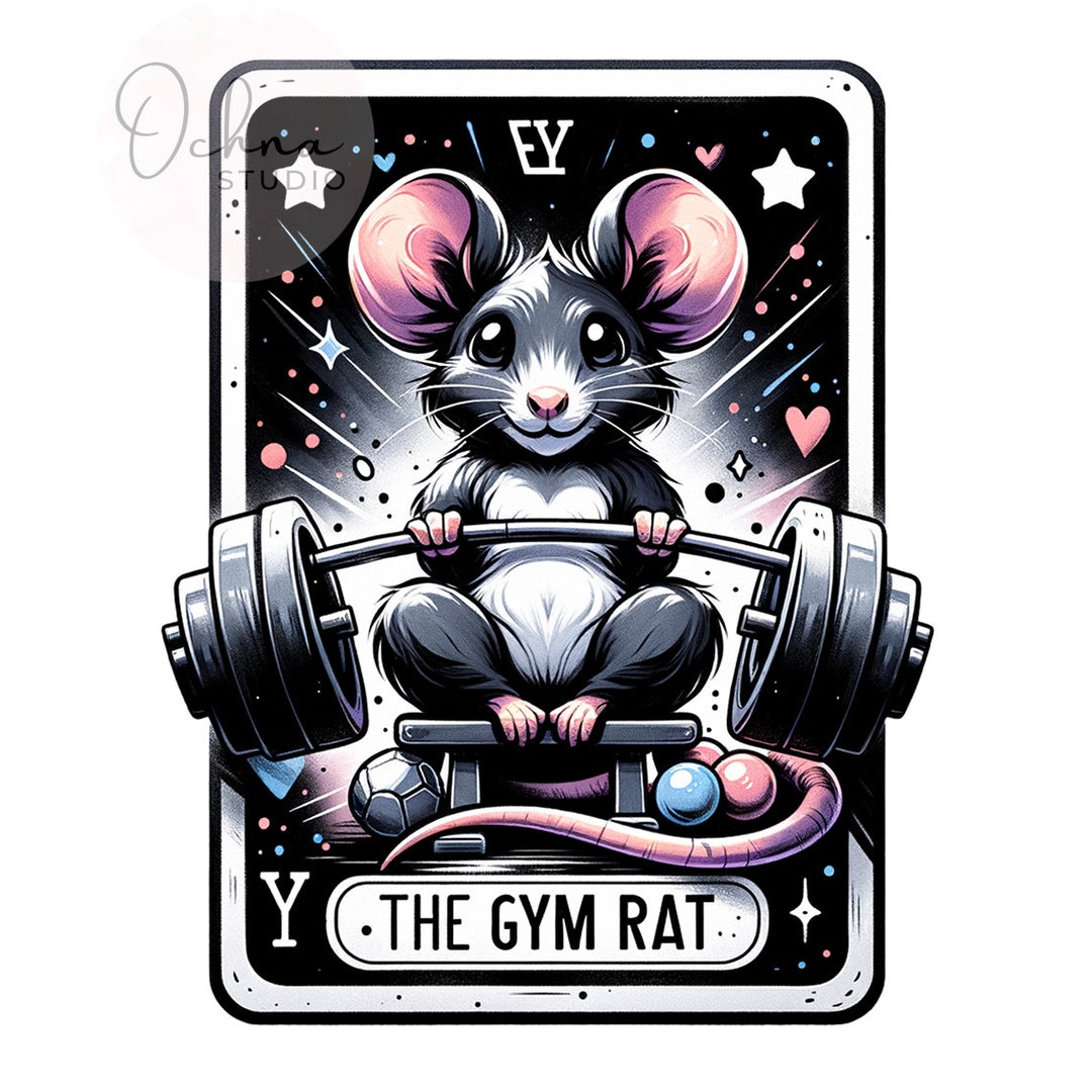 Gym Rat Funny Tarot Card Png, Funny Workout, Rat PNG, Tarot Card PNG ...