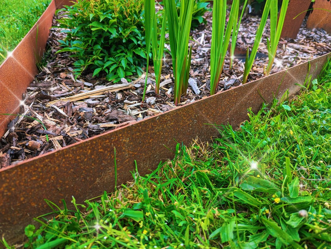 Bed Edging "limes 2" Made of Corten Steel 100 Cm X 15 Cm X 2 Mm, Garden ...