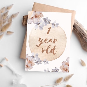 Digital Download Monthly Milestone Cards Printable Monthly Milestone ...