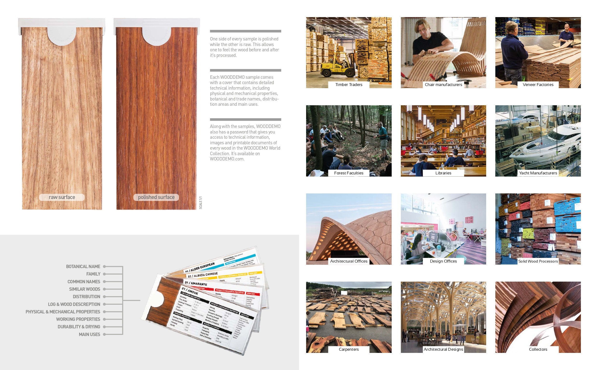 Asian & European Wood Sample Catalog: 75 Solid Woods - Etsy