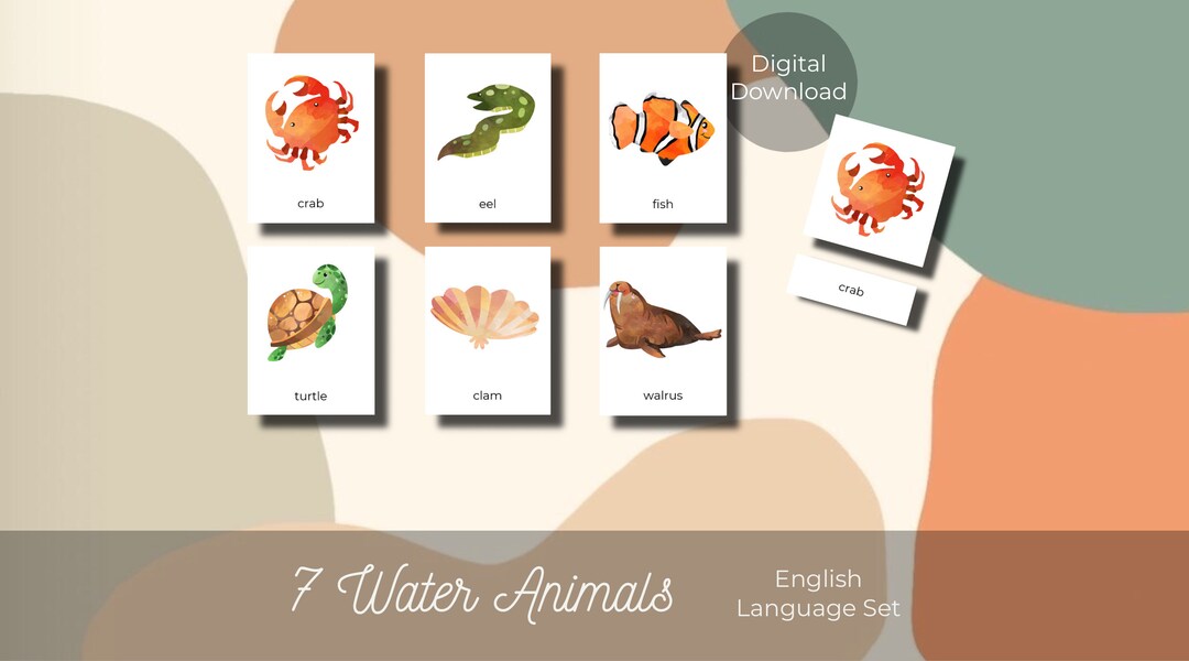 English Water Animals Set - Montessori 3-part Cards - Digital - Etsy