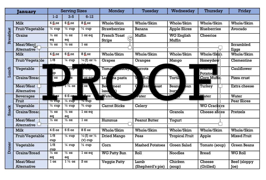 CACFP Editable Menus - Etsy