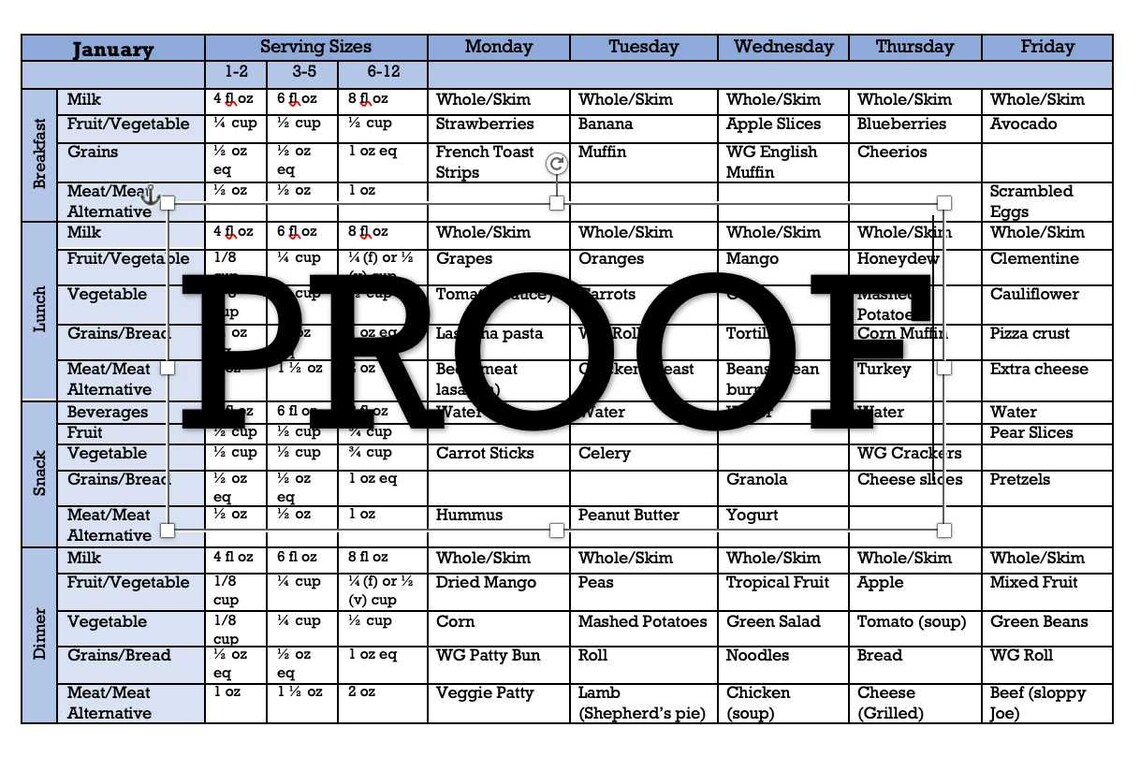 CACFP Editable Menus - Etsy